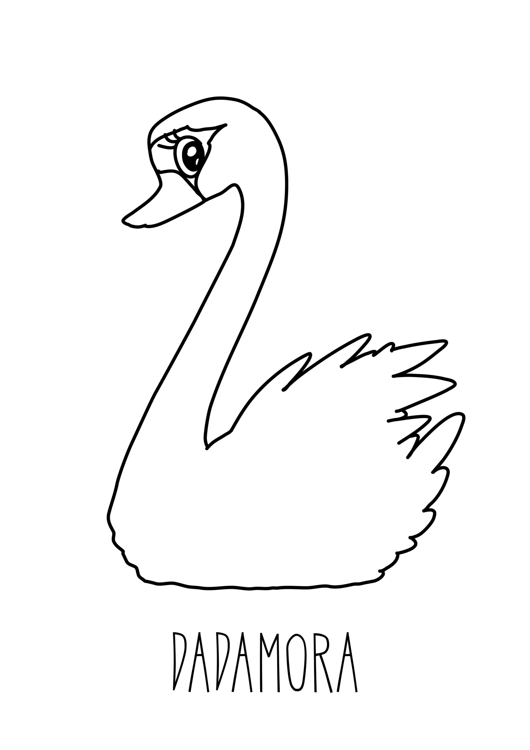 Colour at home - Dadamora